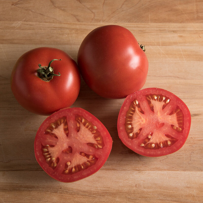 Nepal - Semillas de Tomate Bola Orgánico - HYDROCULTURA