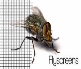 Mallas Anti Insectos de 25X25 hp - HYDROCULTURA